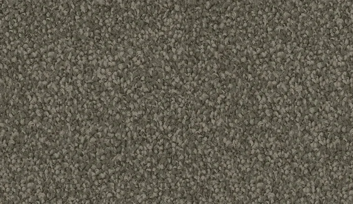 Beachcomber — Carpet Flooring Group