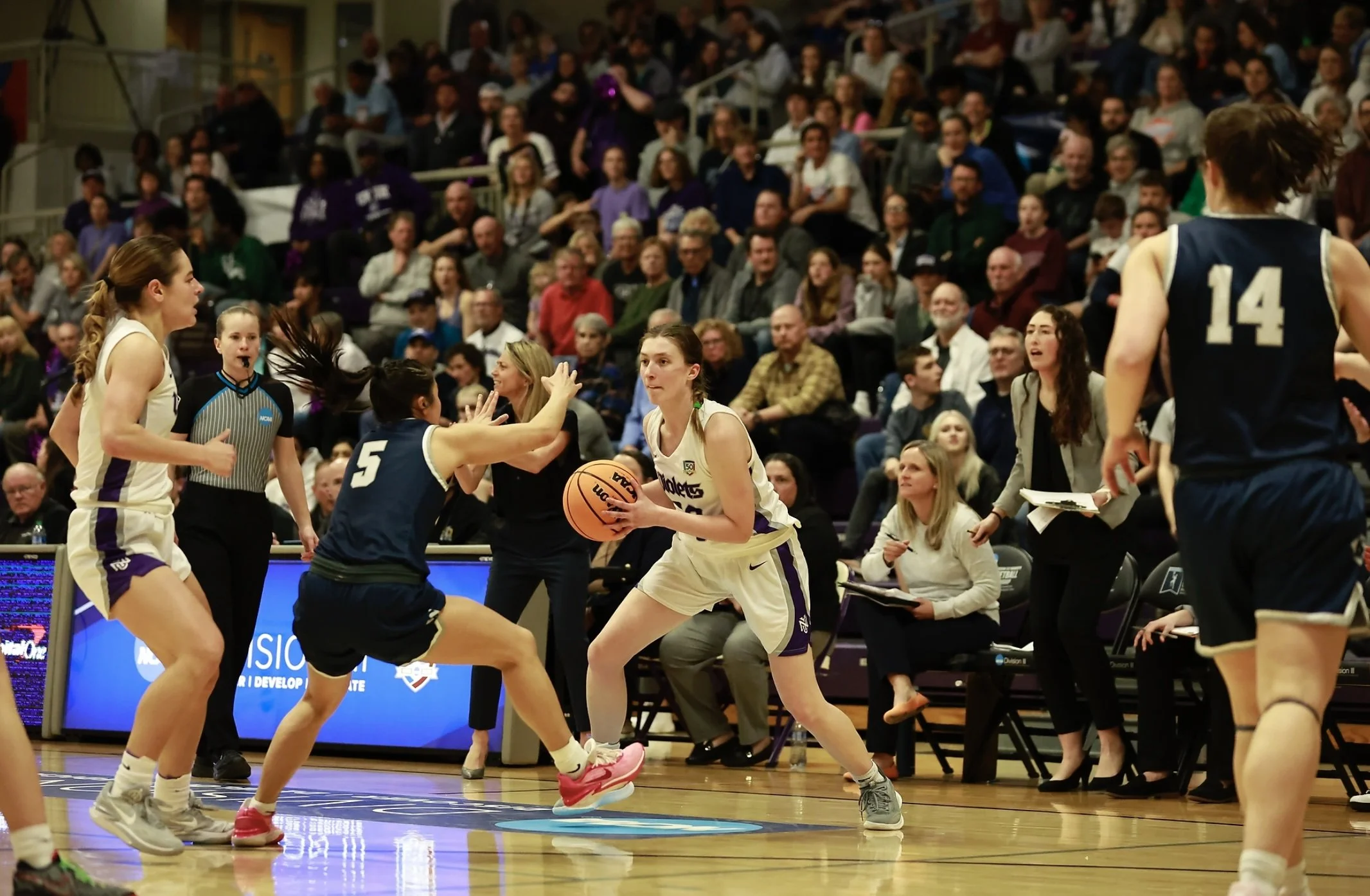 Erica Miller, Basketball (NYU) — EcoAthletes