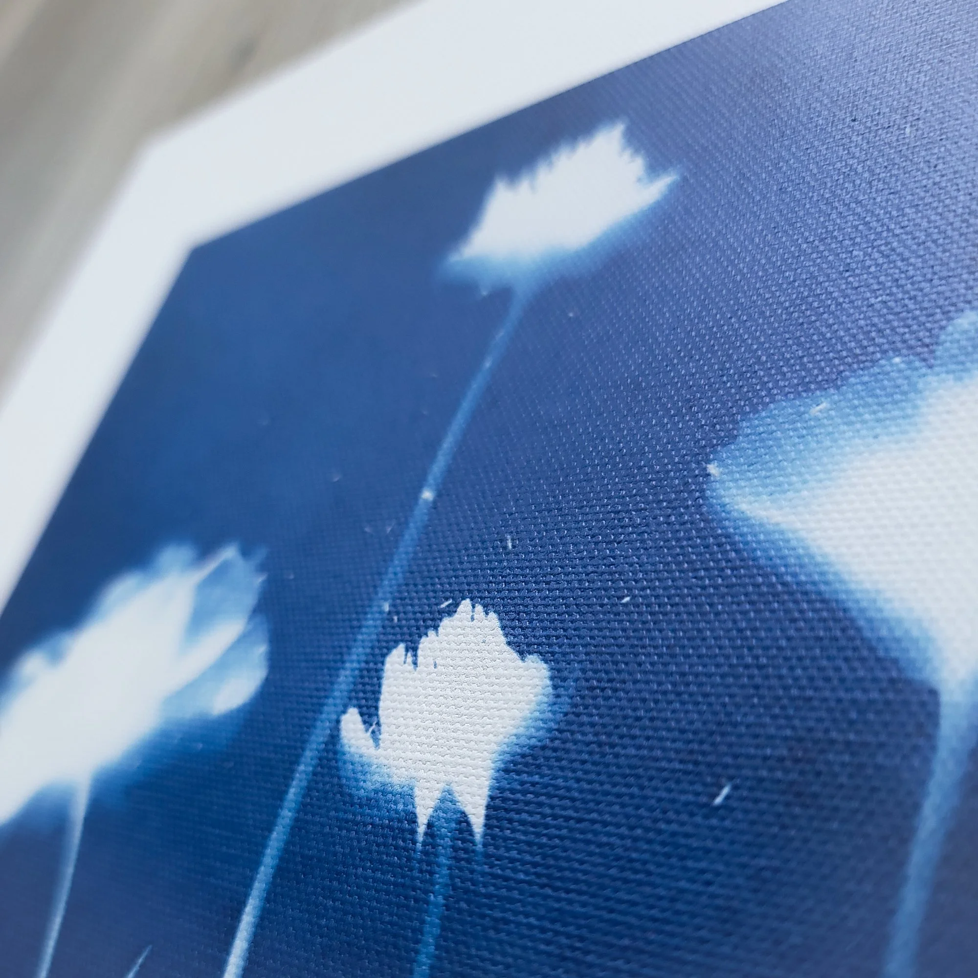 Canvas Prints — Nat Joy Design