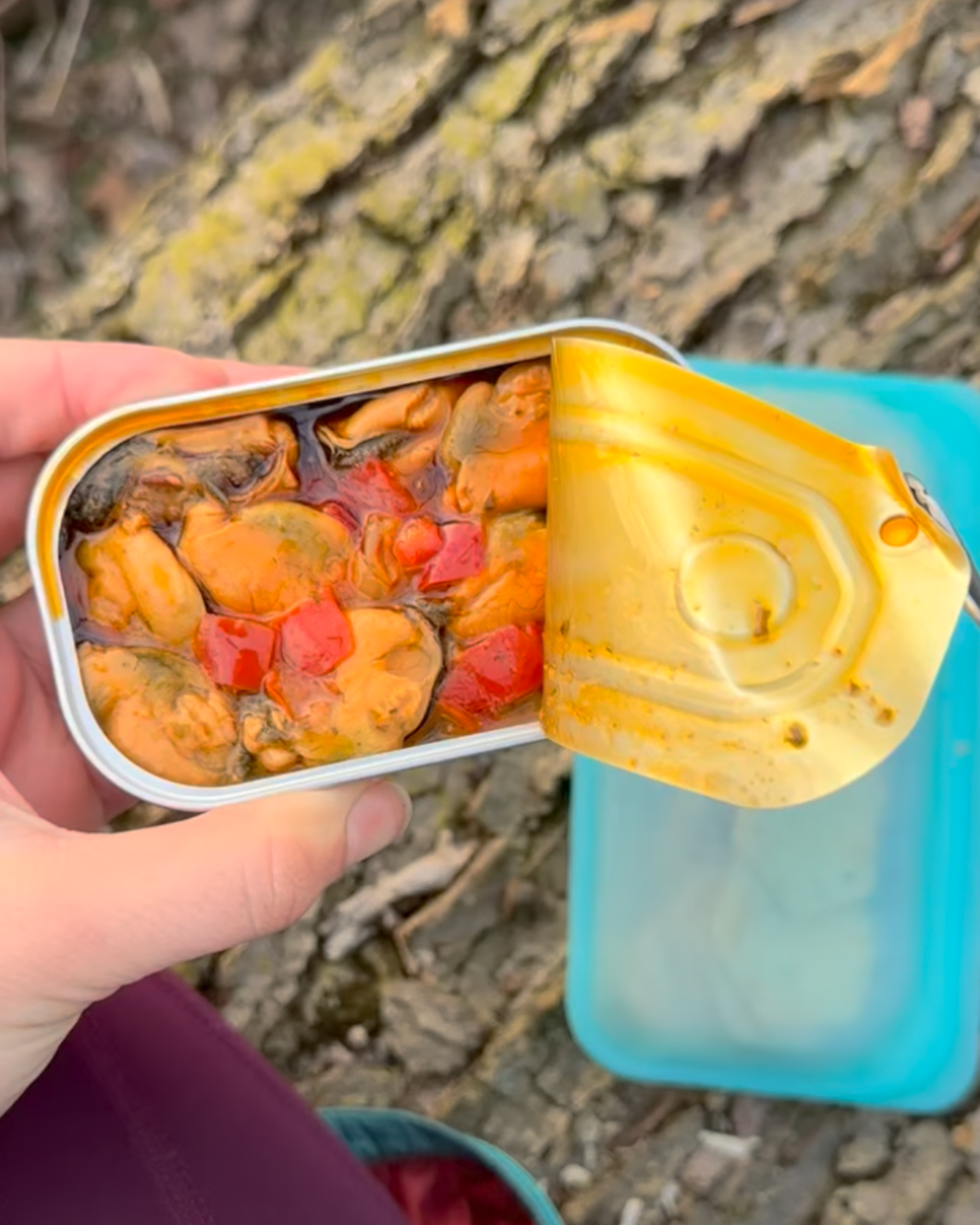 Patagonia Provisions — Happy Earth Habits