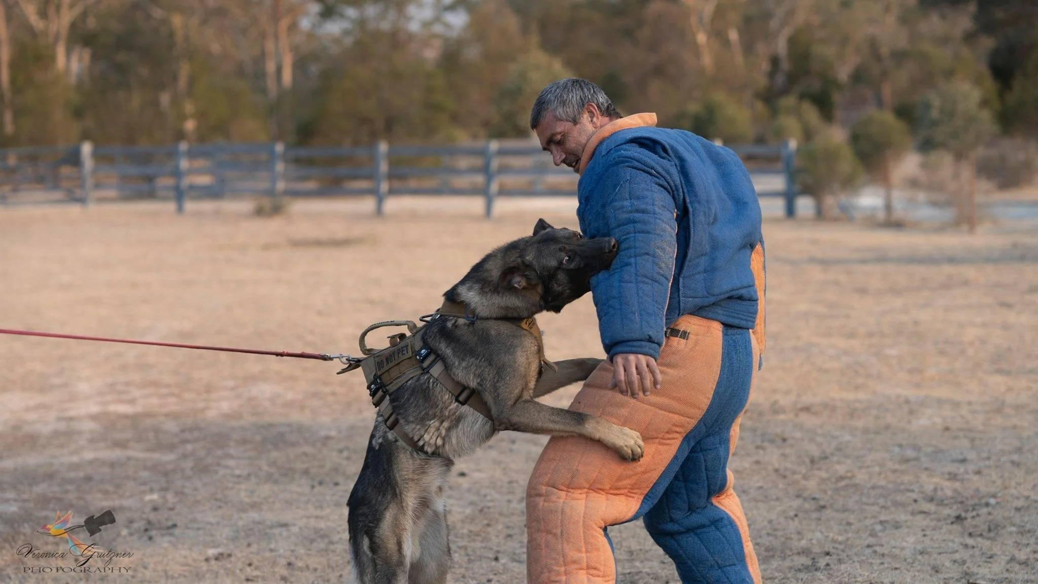 ICRWDA Training Staff - Unmatched K9 Security Expertise & Experience ...