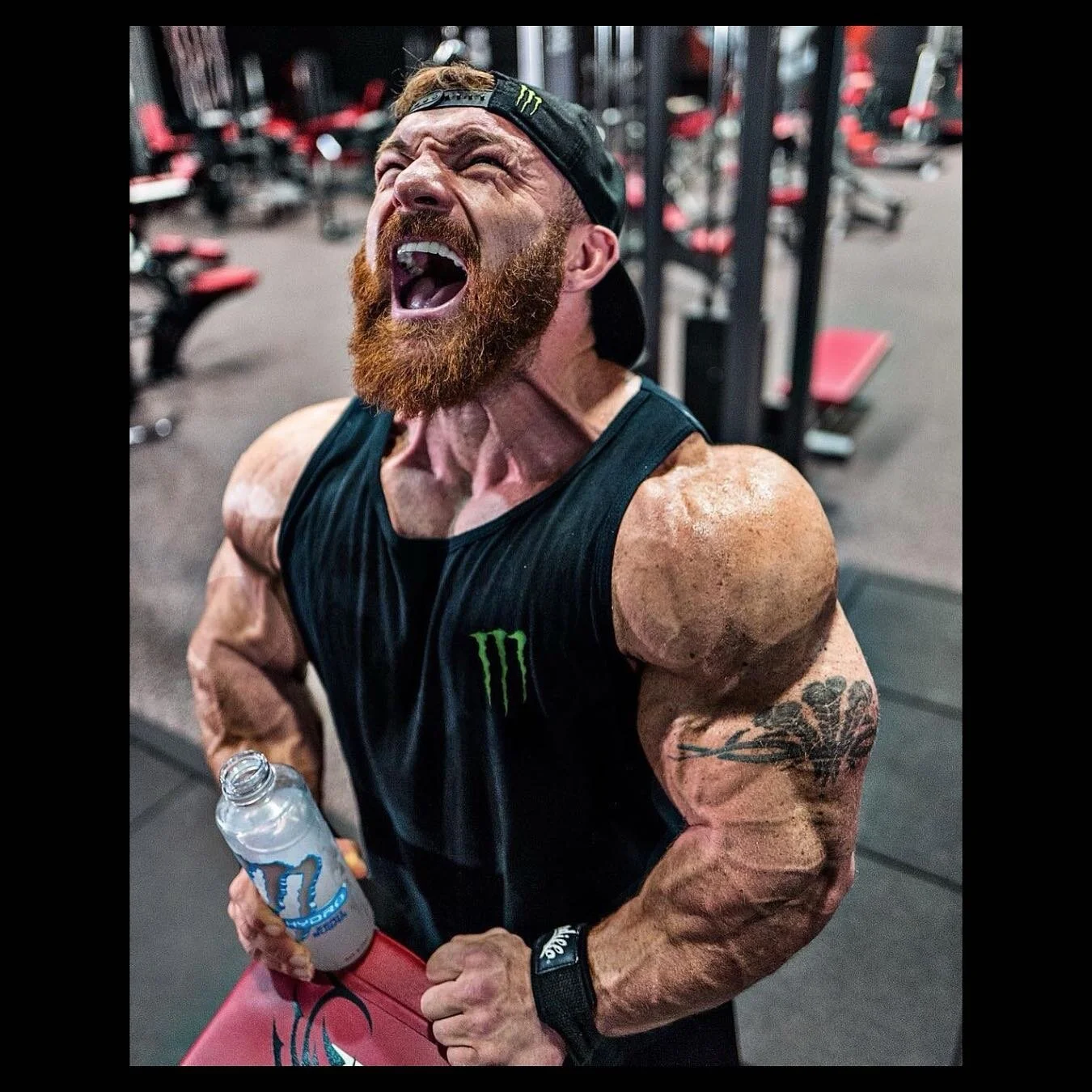 Flex Lewis