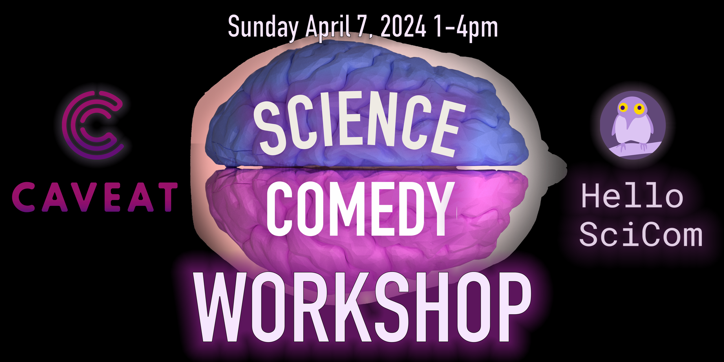 Workshops — Paula Croxson