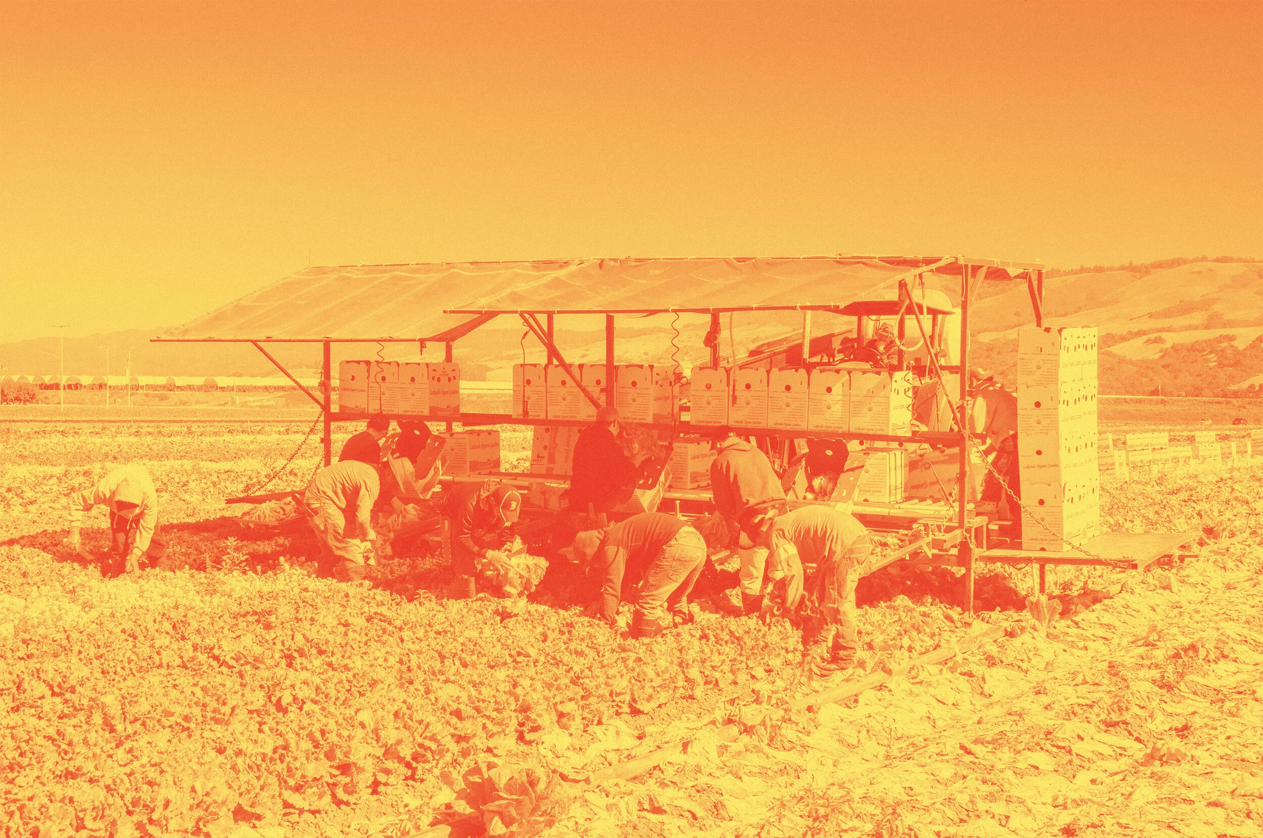 California Migration Museum