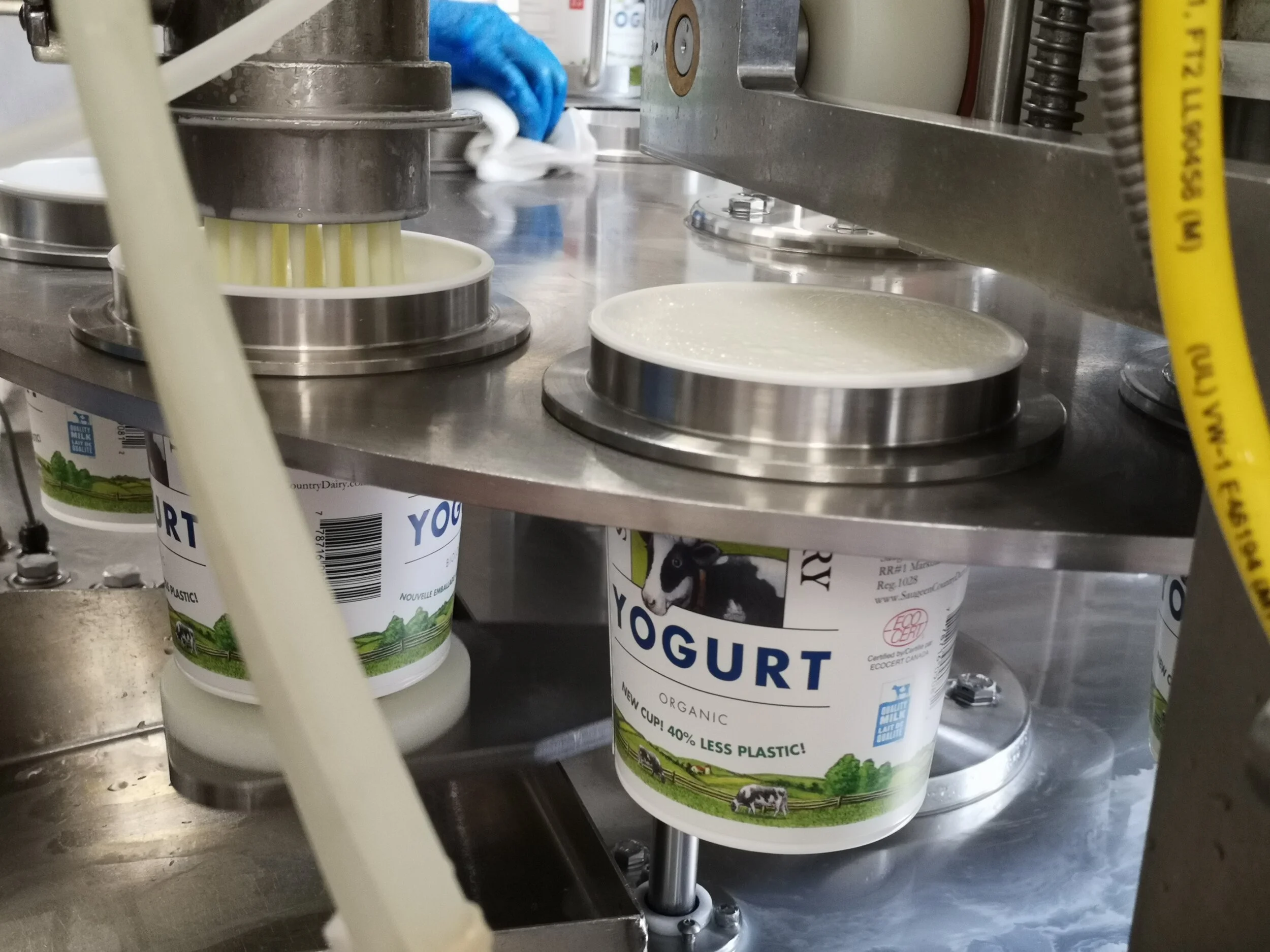 Organic Yogurt Made in Canada — SAUGEEN COUNTRY DAIRY