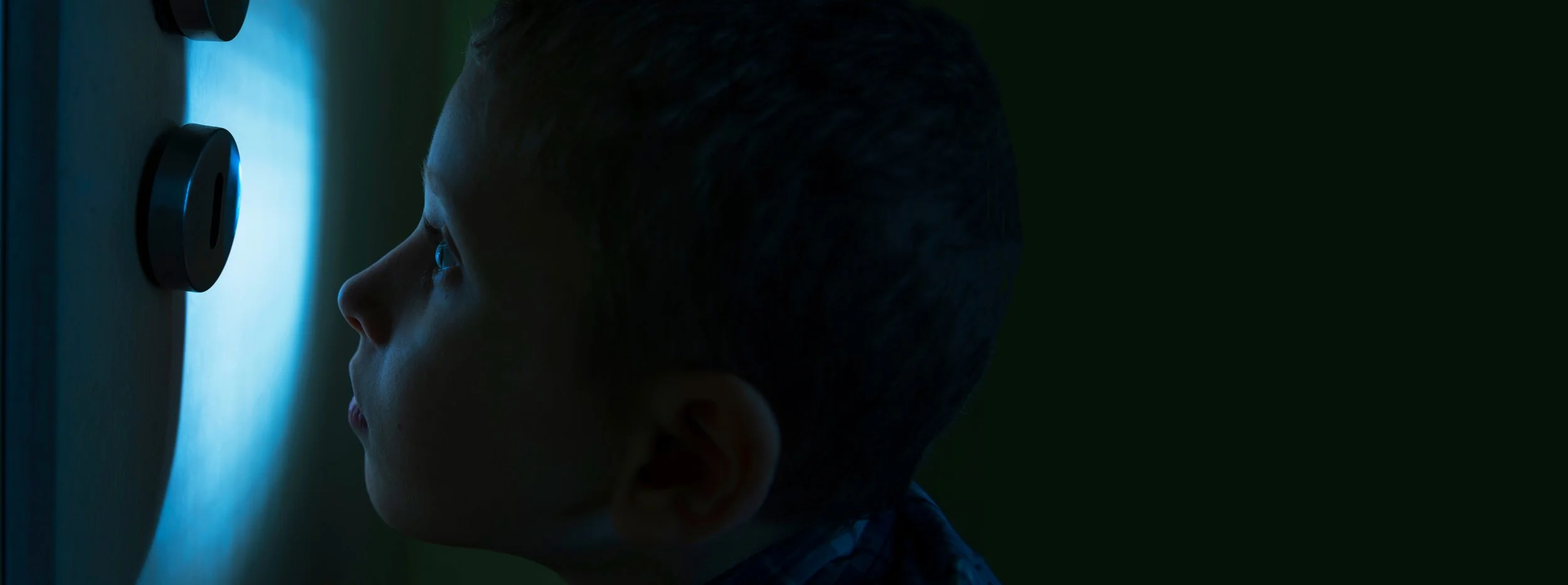 James Lantz, Filmmaker / Playwright