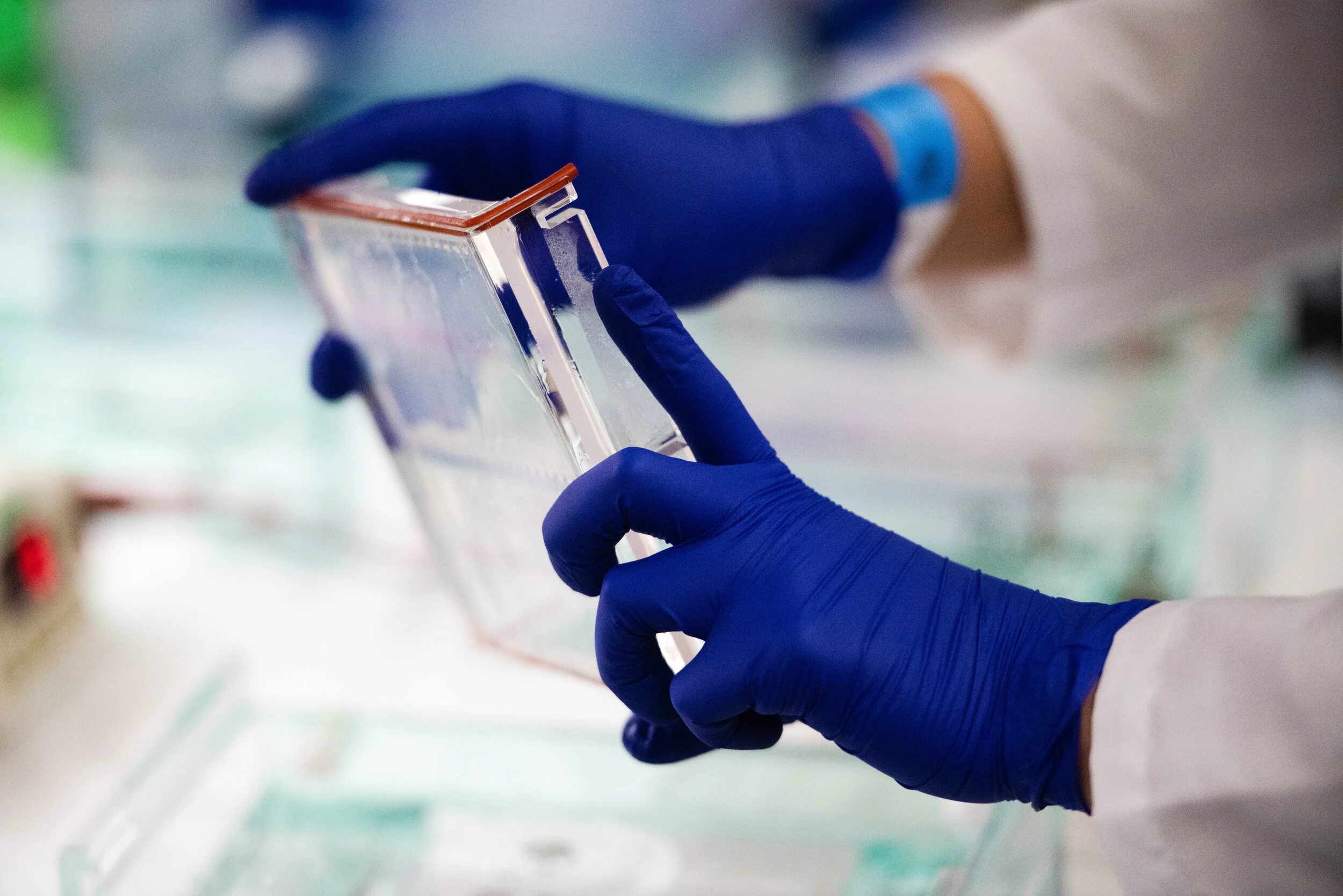 Contact 1 — Espinosa Lab