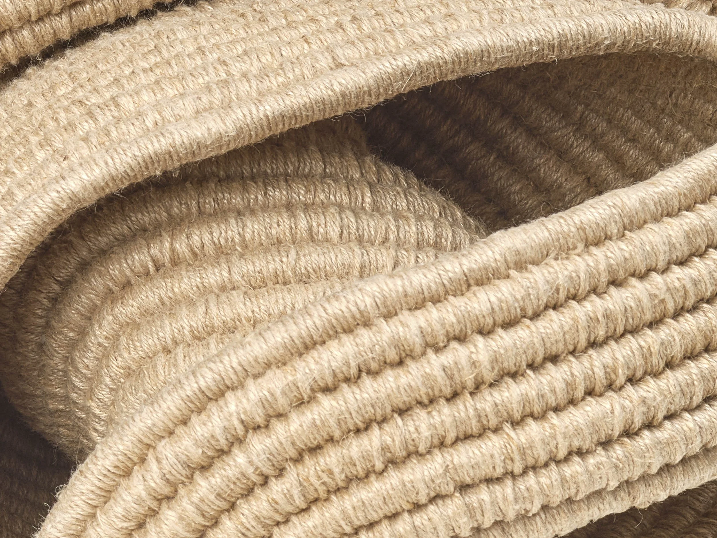 Shells — Ellen Dickinson Fiber Sculptures