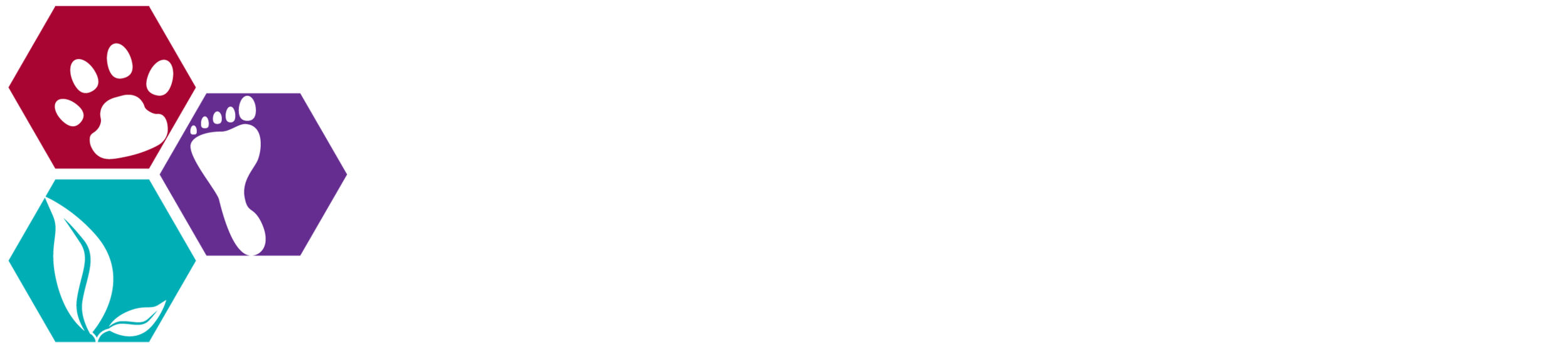 One Health Clinic - Seattle Clinic — One Health Clinic