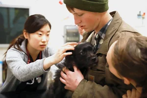 One Health Clinic