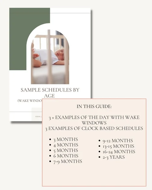 The Ultimate Baby Sleep Schedule Guide ( 3 months to 3 years) — Little ...