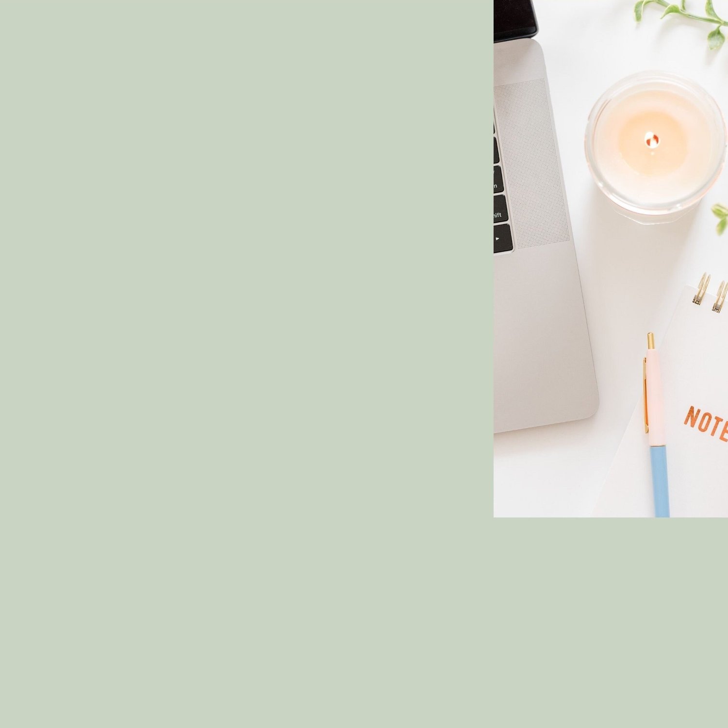 Little Pumpkin Sleep Solutions I Baby And Toddler Sleep Consultant I