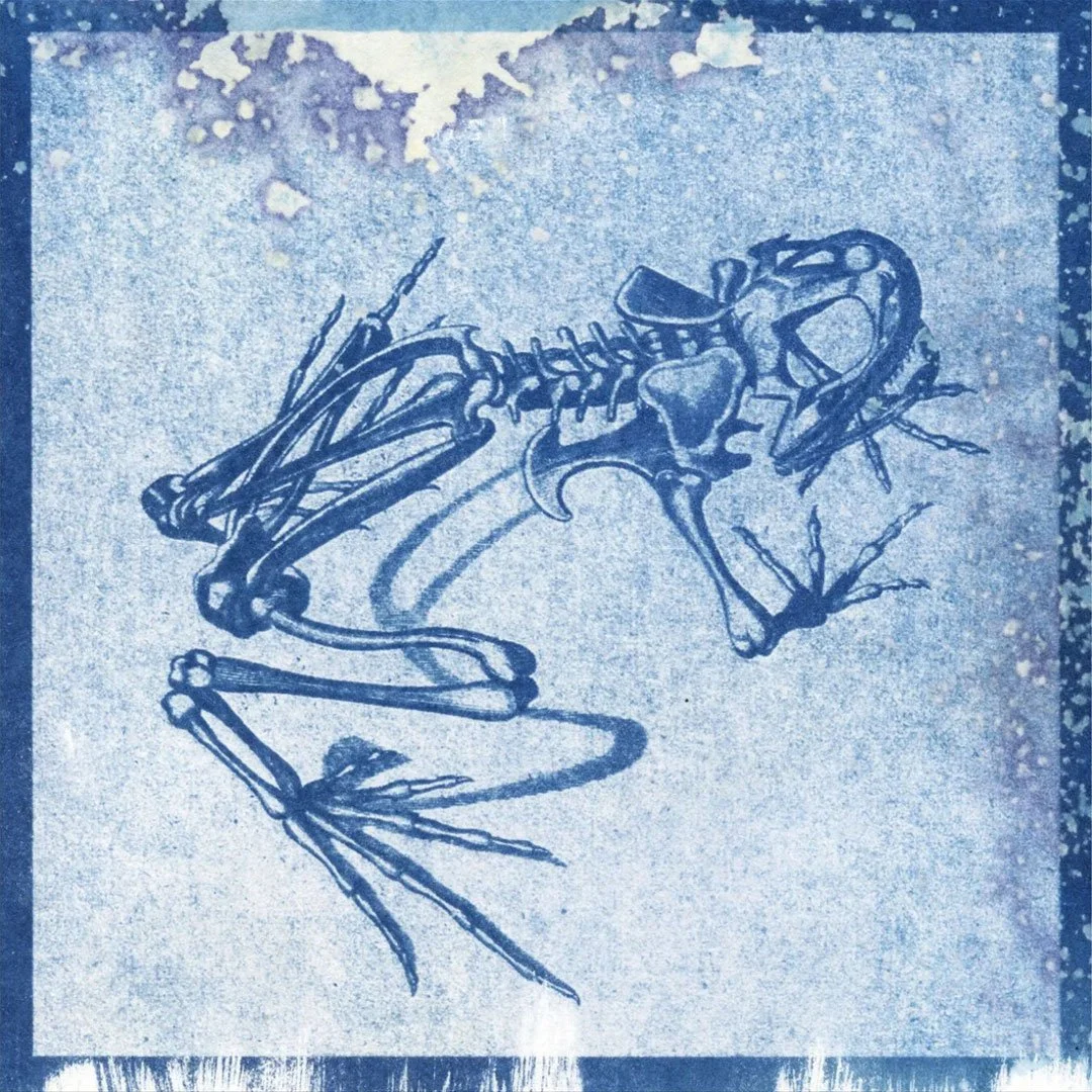 Screen printing combining Cyanotype weekend with Neil Kerr — Belfast ...