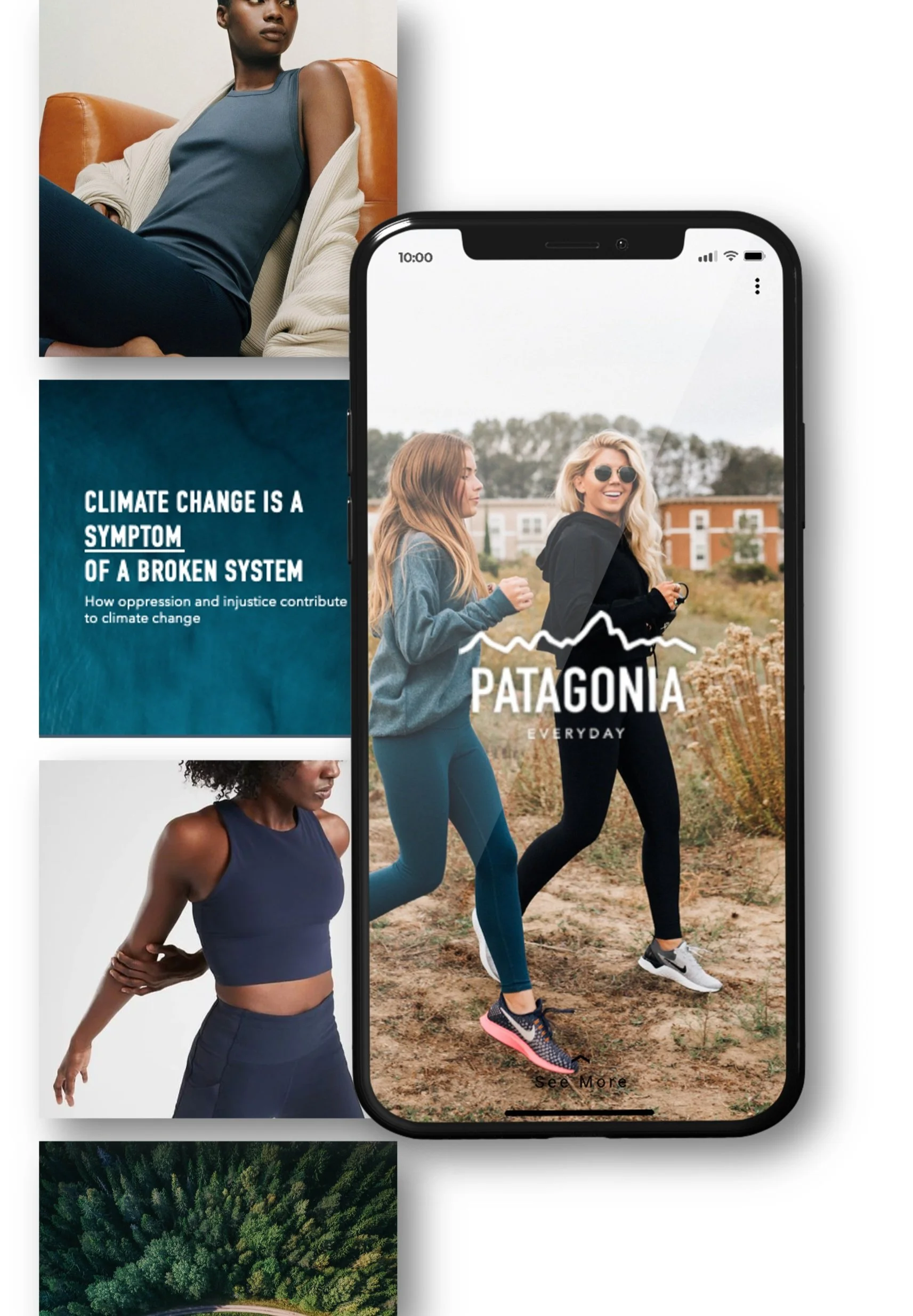 Patagonia Rebrand | Taylor Doherty — Boutique Design Services