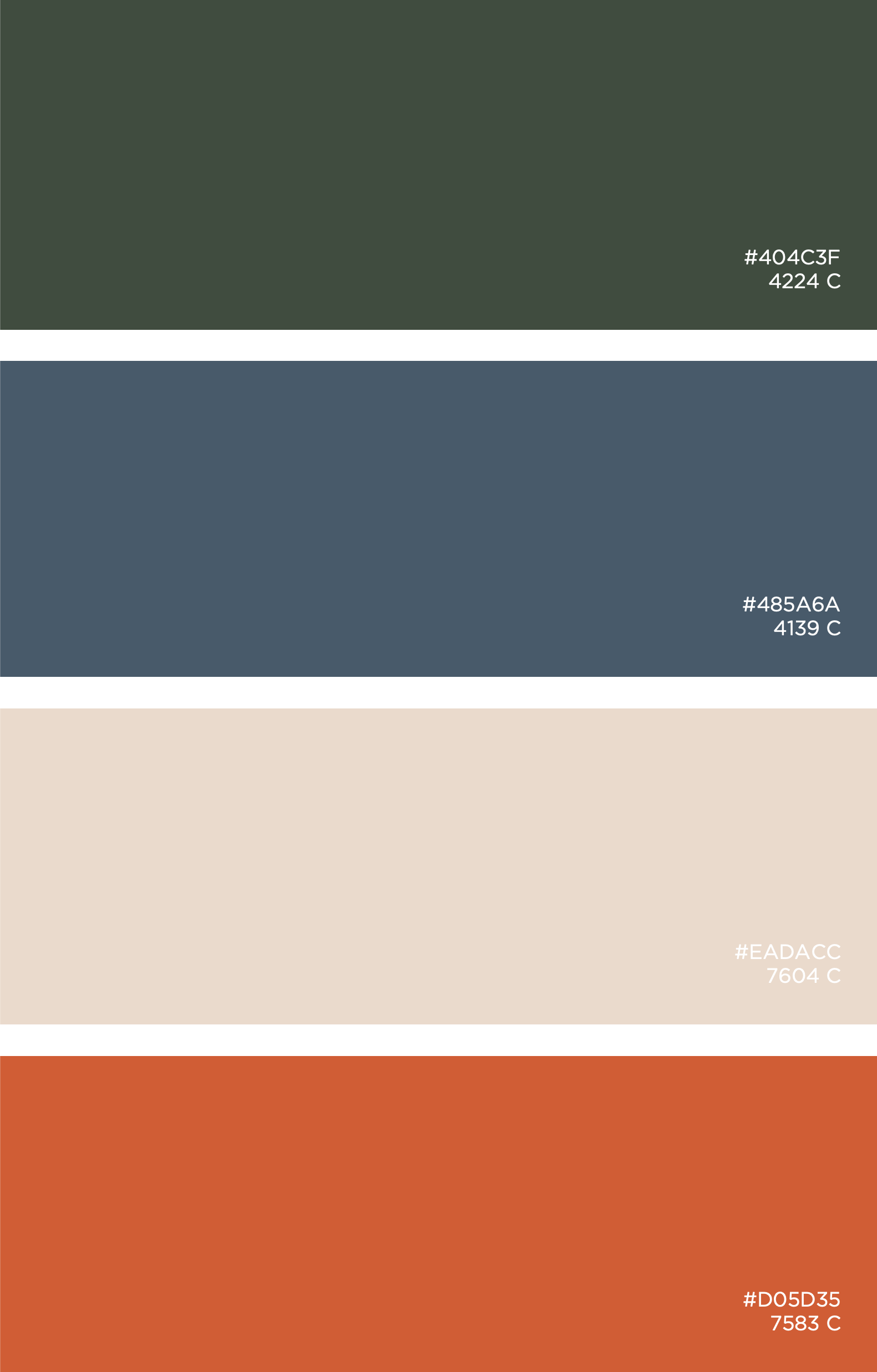 Patagonia Rebrand | Taylor Doherty — Boutique Design Services