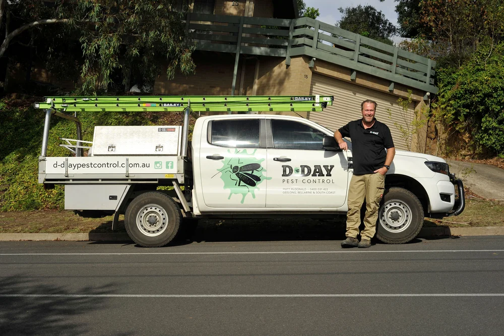 D-Day Pest Control | Residential & Commercial Pest Control Services