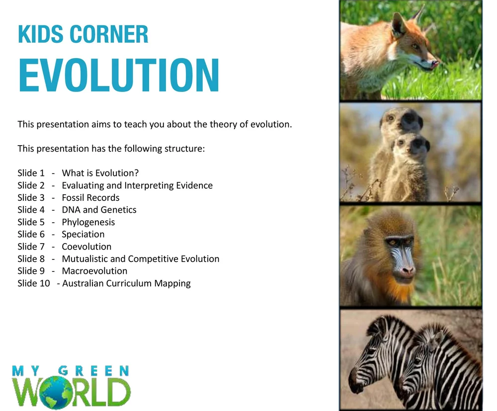 Evolution Learning Booklet — My Green World