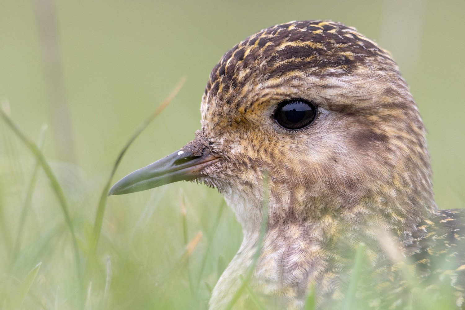 Here's Why Your Photos Aren't Sharp: 8 Tips to Improve Sharpness in ...