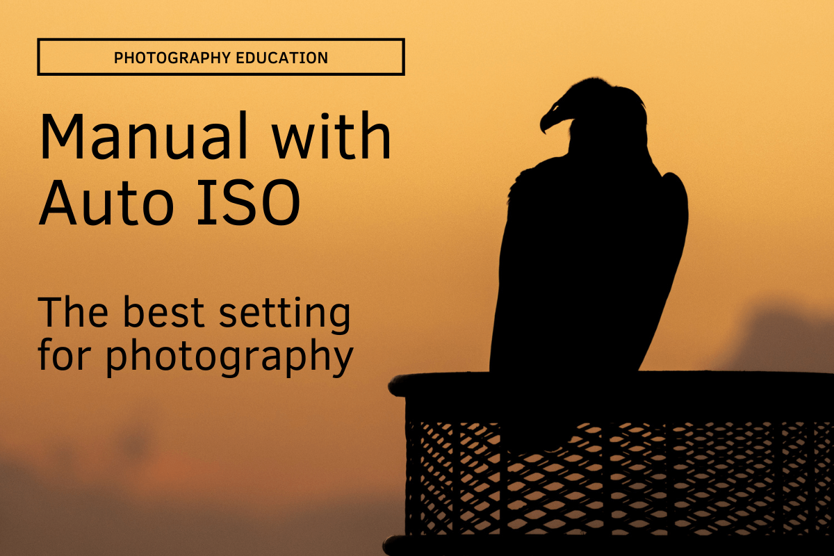 Why Manual with Auto ISO May Be the Best Setting for Photography — APC ...