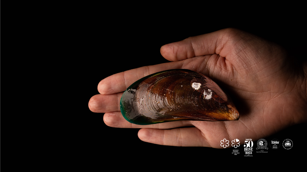 POTONG - 1 Michelin Star and World Best New Restaurants