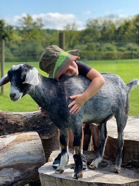 Helping Friendly Farm