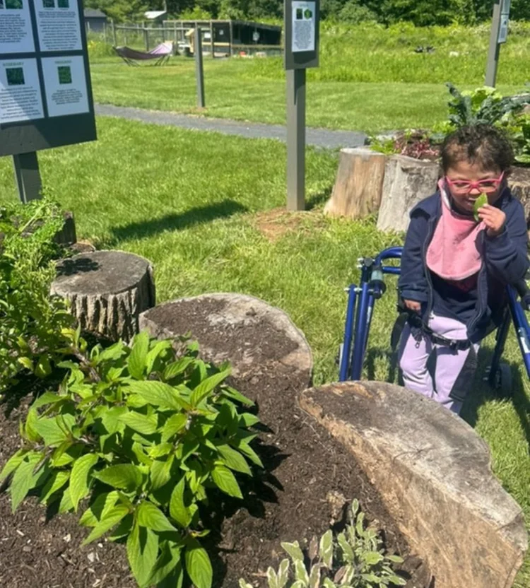 Helping Friendly Farm | Experience Therapeutic Nature - Visit Today