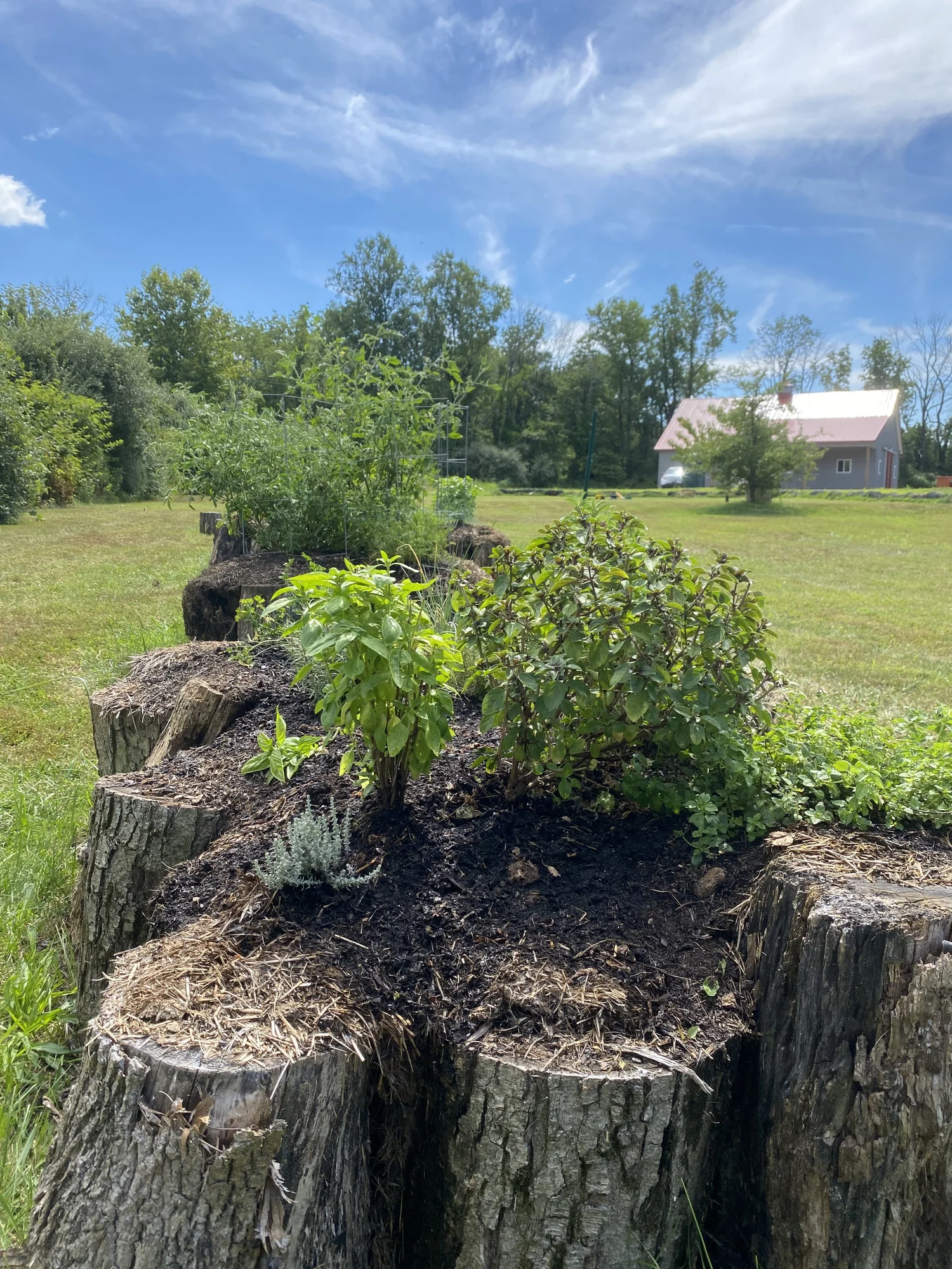 Helping Friendly Farm