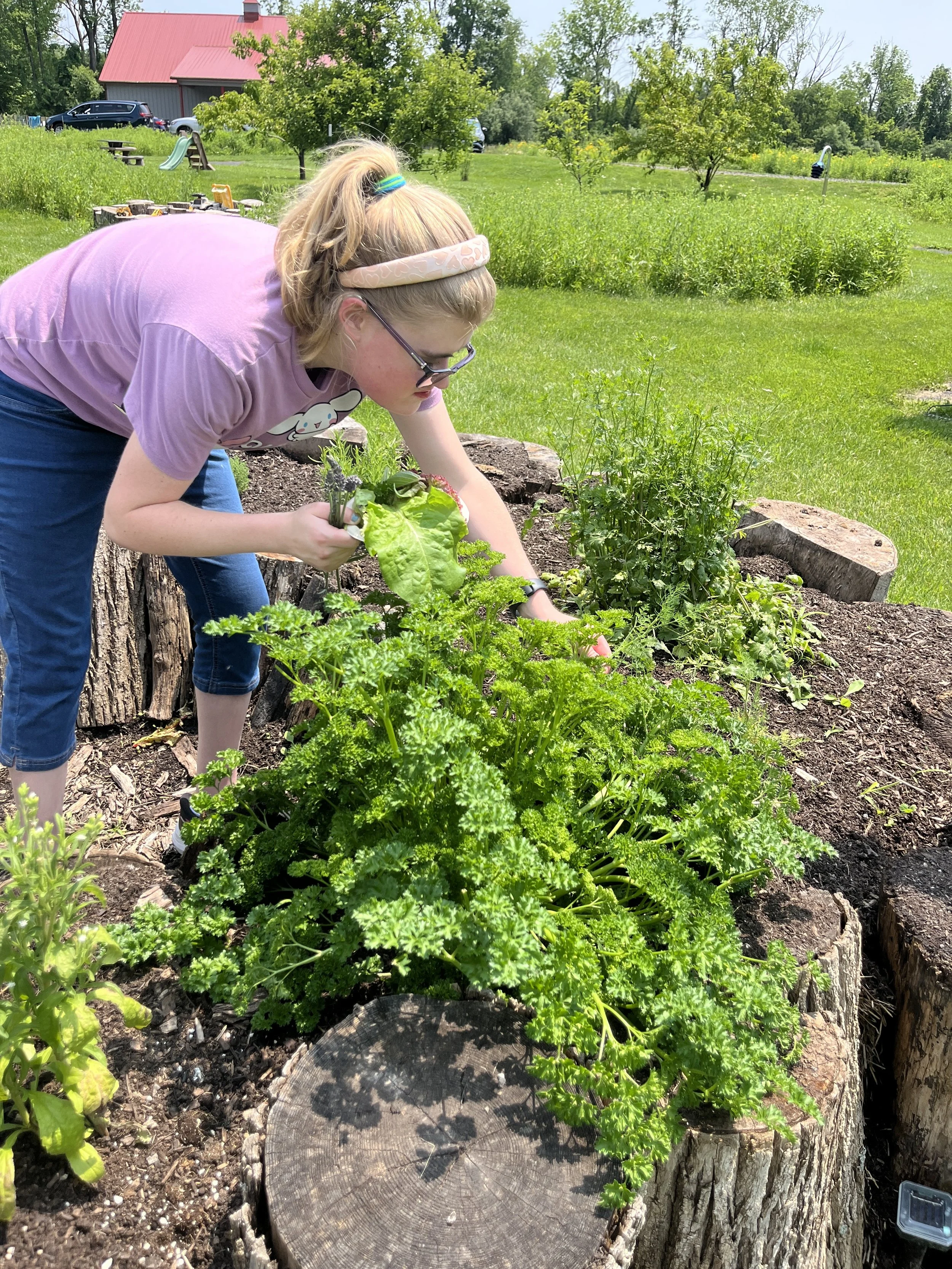 Helping Friendly Farm | Experience Therapeutic Nature - Visit Today