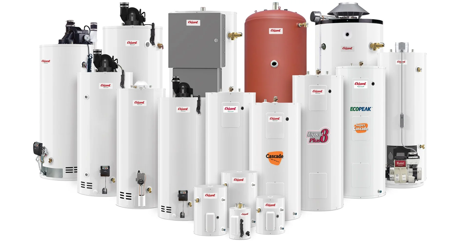 Giant | MacLeod & Grant