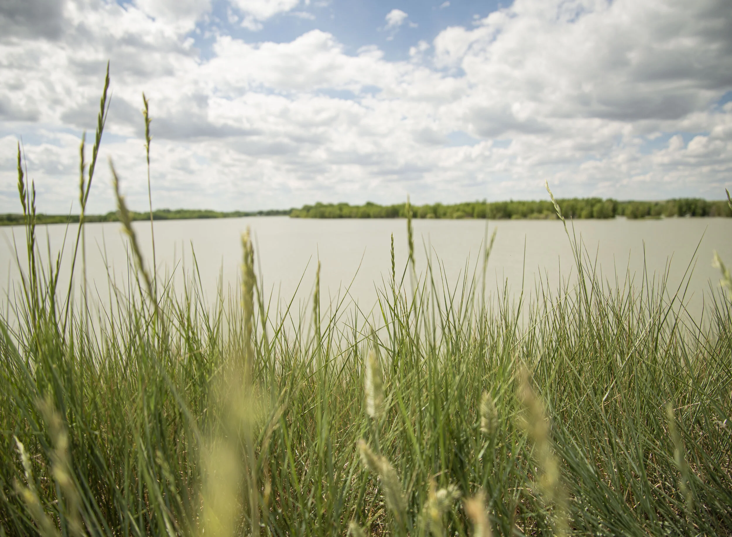 South Platte Natural Resources District