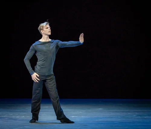 Biography — Marijn Rademaker