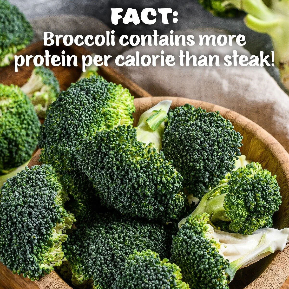 Midamar Catalog — Midamar.com