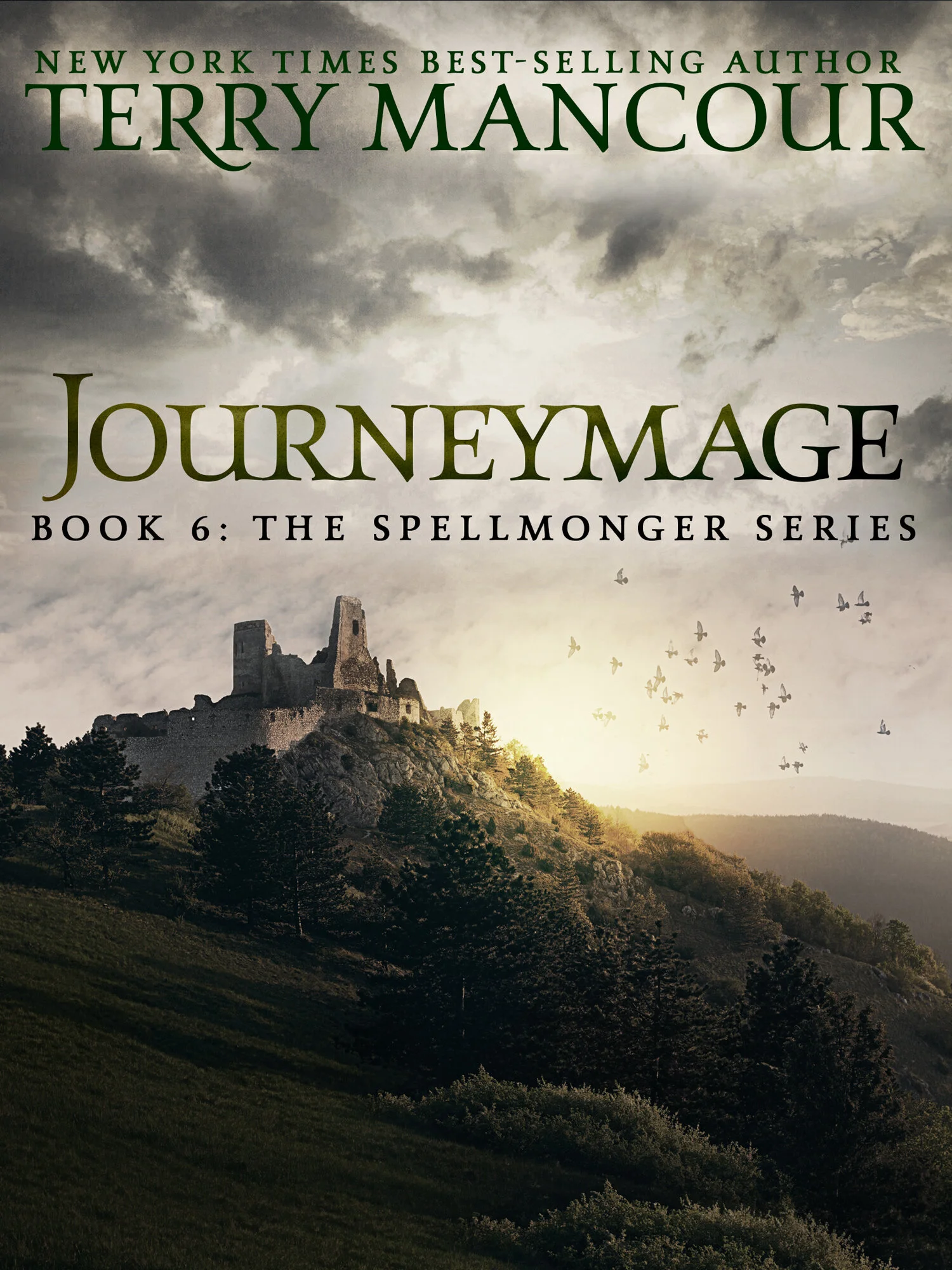 Books — The Spellmonger Series