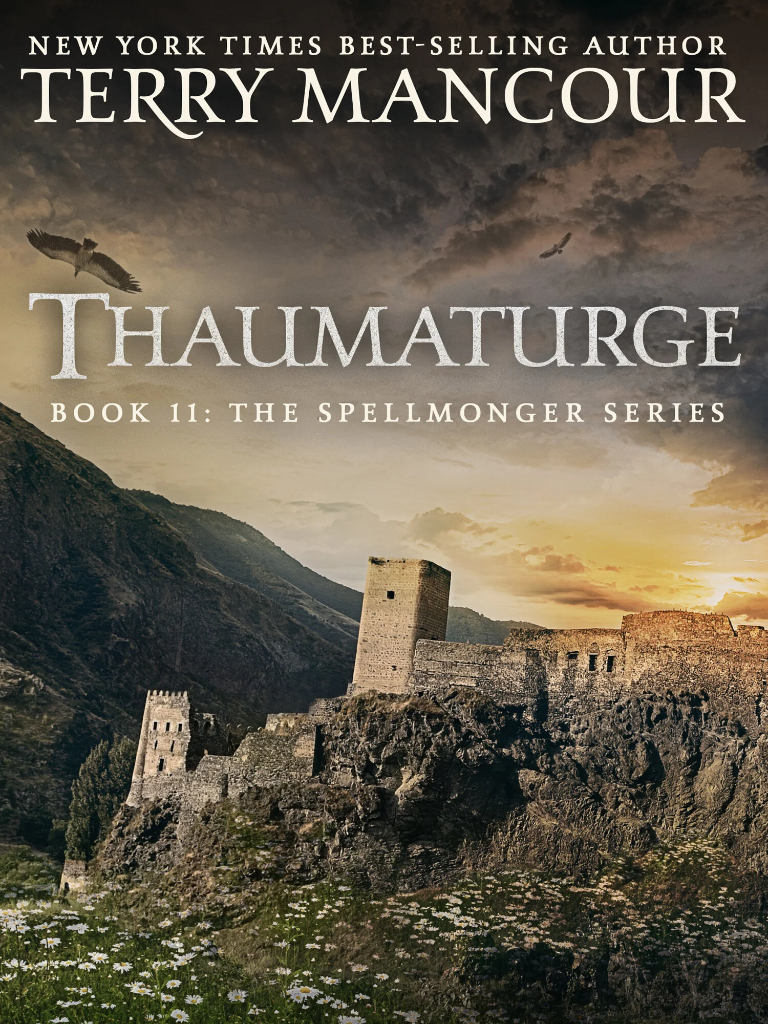 Books — The Spellmonger Series