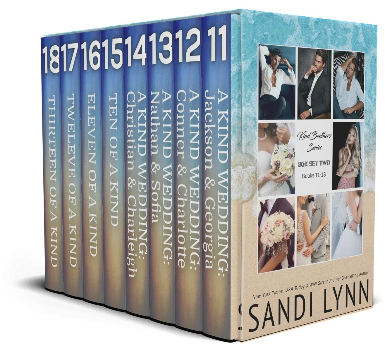 Series Box Sets — SANDI LYNN