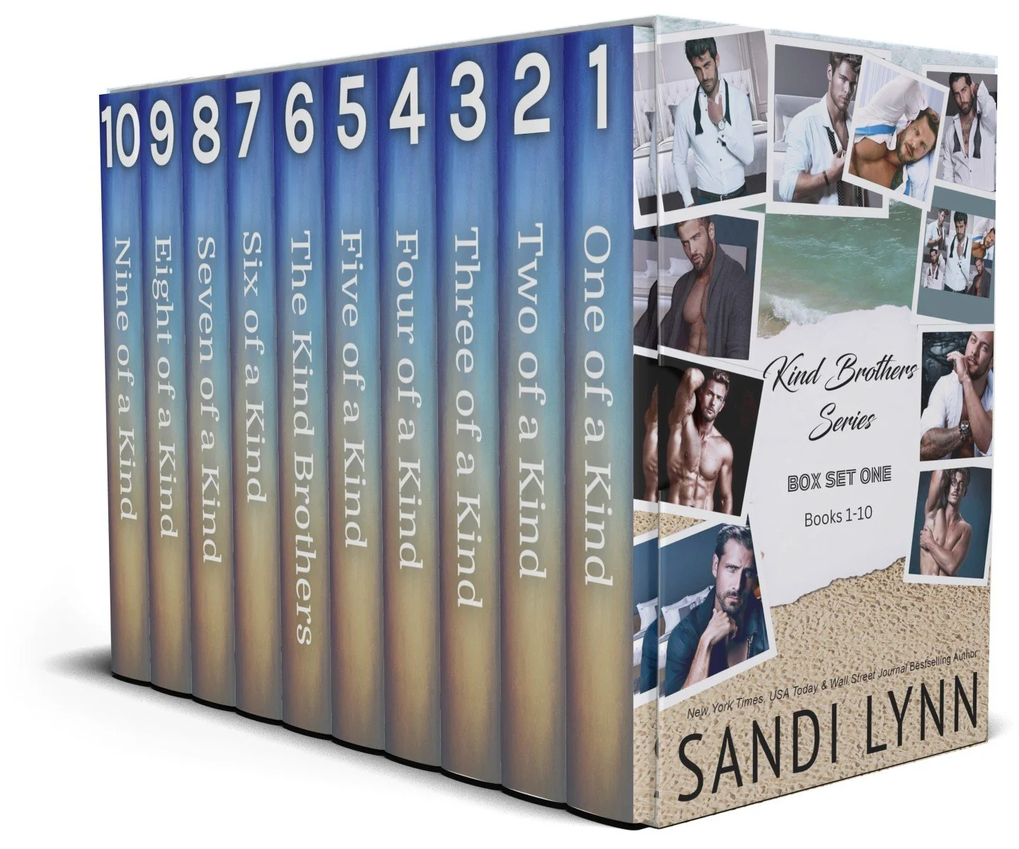 Series Box Sets — SANDI LYNN