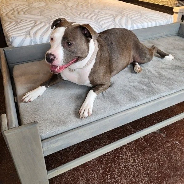 Dog Bed Mattress Extender - Customized Elevated Dog Bed for Human Mattress