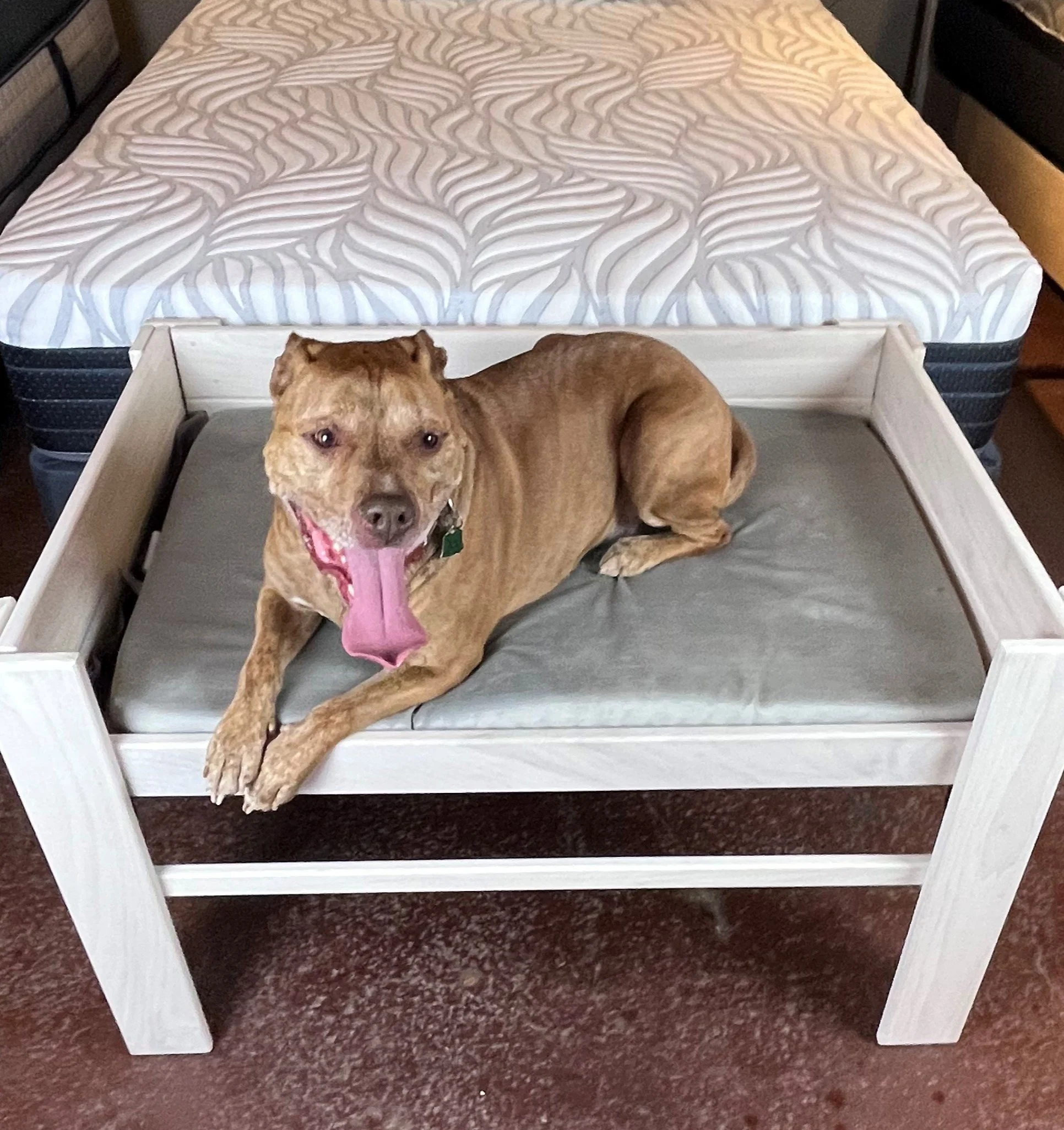 Dog Bed Mattress Extender - Customized Elevated Dog Bed for Human Mattress