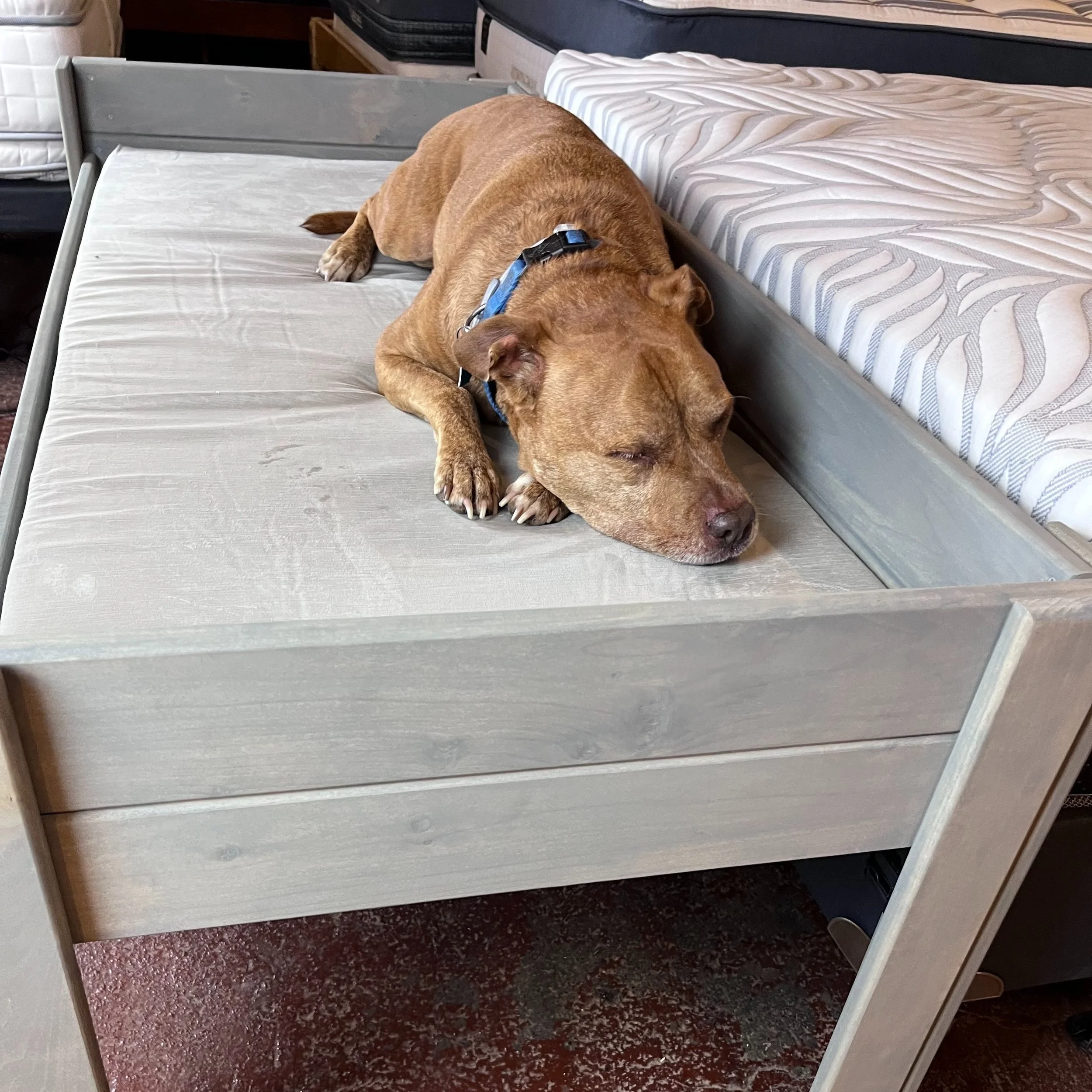 Dog Bed Mattress Extender - Customized Elevated Dog Bed for Human Mattress