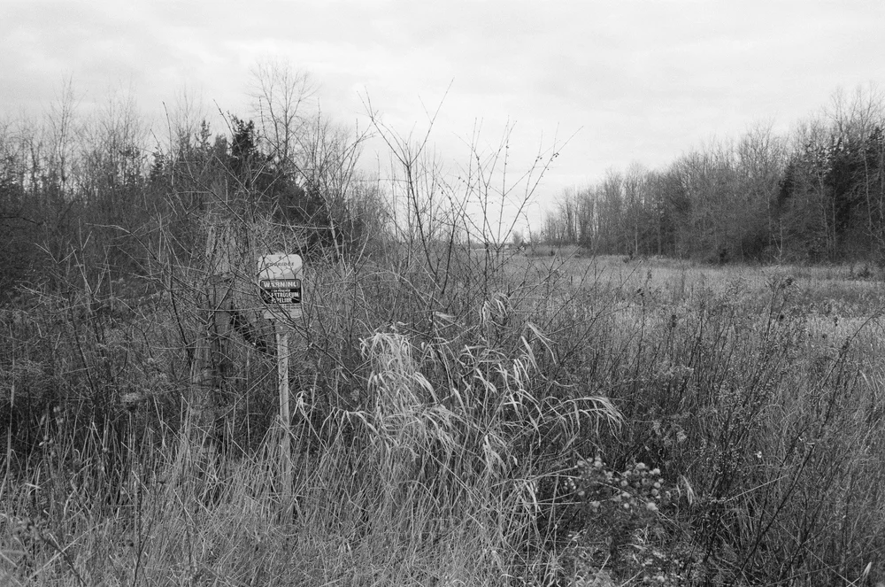 Common Ground by David Scriven — carte blanche magazine