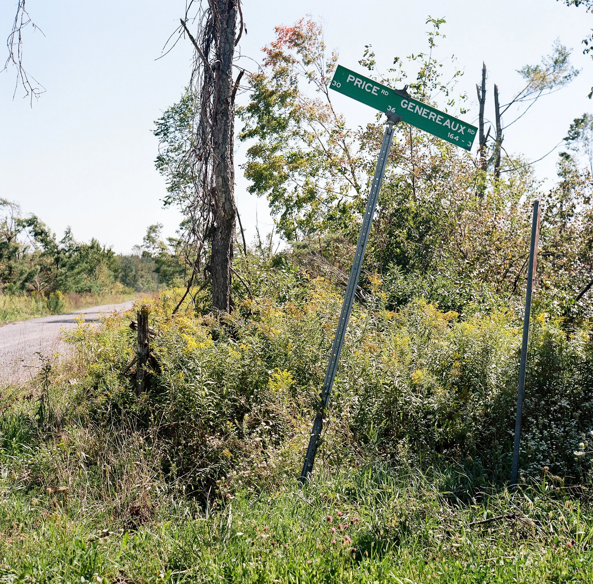 Common Ground by David Scriven — carte blanche magazine