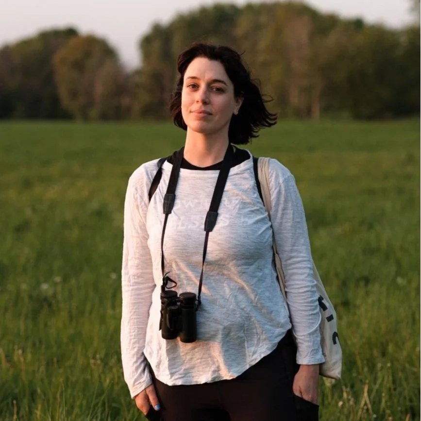 The Sea Canaries by Caitlin Stall-Paquet — carte blanche magazine