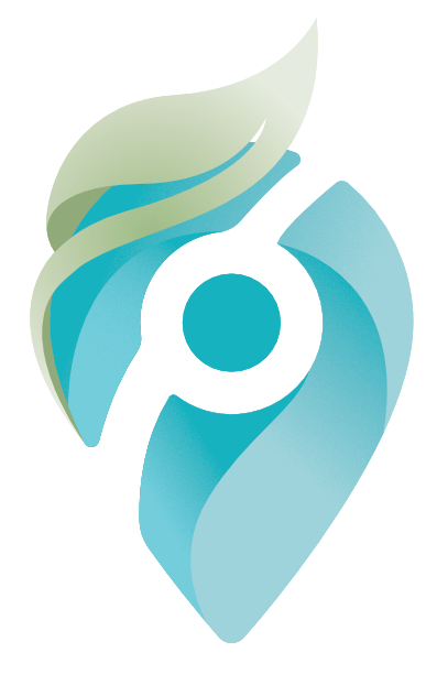 The Health Navigator