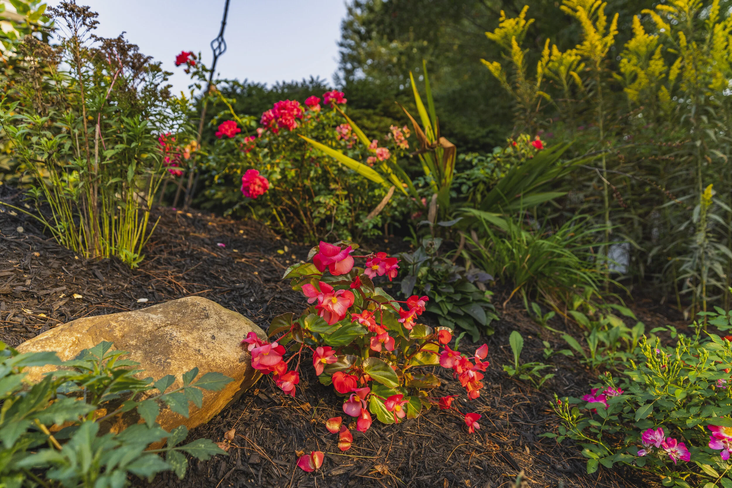 Landis Landscaping, Inc.