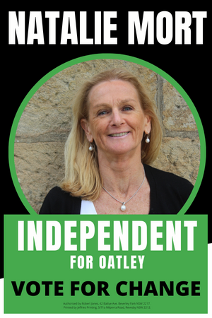 Blog — Georges River Residents and Ratepayers