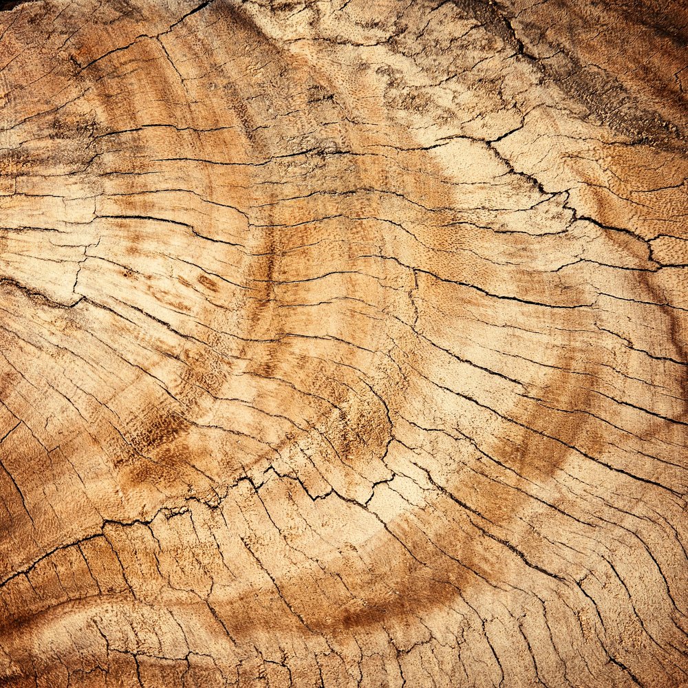 What is grain direction in wood? — Among The Trees reclaimed timber ...