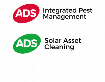 ADS Pest Control becomes new client for Cyberlogical — Cyberlogical