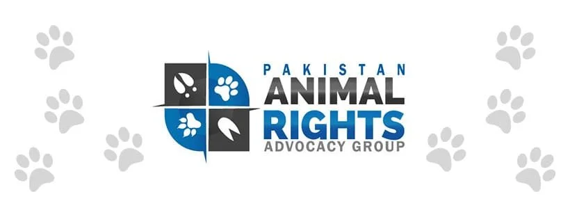 Animal Advocacy Academy — Animal Alliance Asia