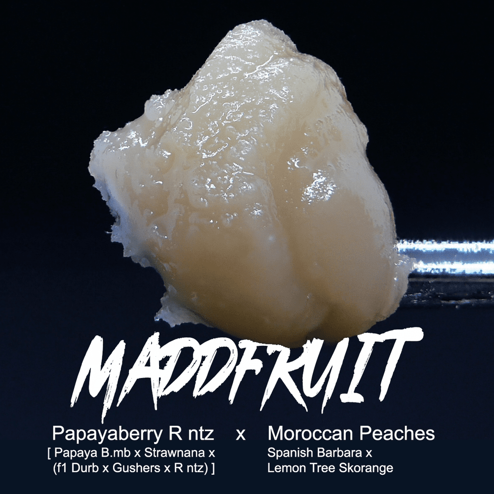 Maddfruit Strain — True Organics | Michigan Organic Living Soil Cannabis