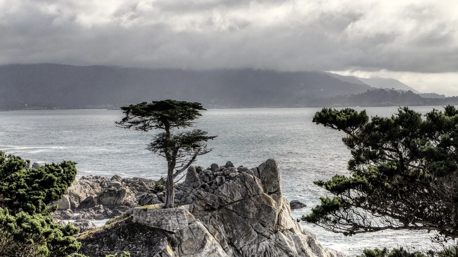 Team — Cypress Point - Cypress Point - Cypress Point Investment Management